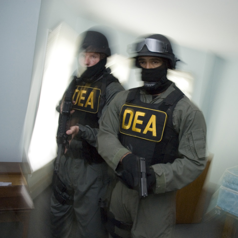 DEA Quiz | Just Think Twice